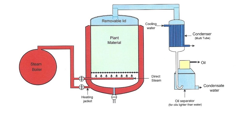 Steam-Dist-Diagram | Essential oil distillation equipment